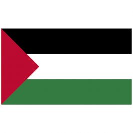 Palestijnse vlag kopen? Scherp geprijsd en uit voorraad leverbaar!